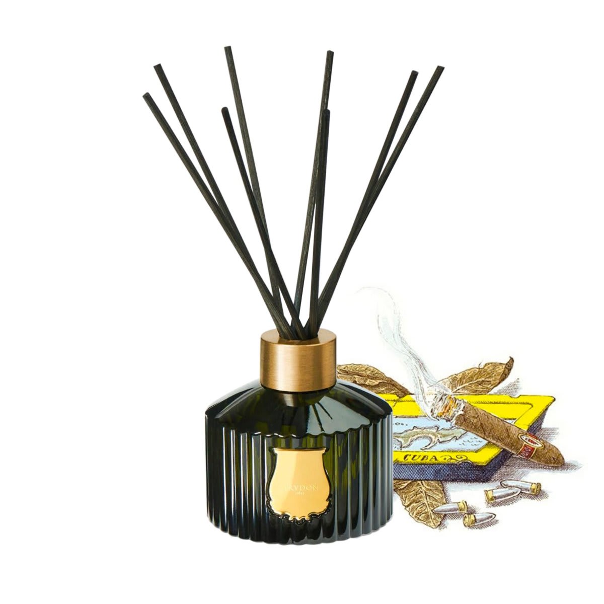 Trudon Diffuser Ernesto 350 ml | Gents