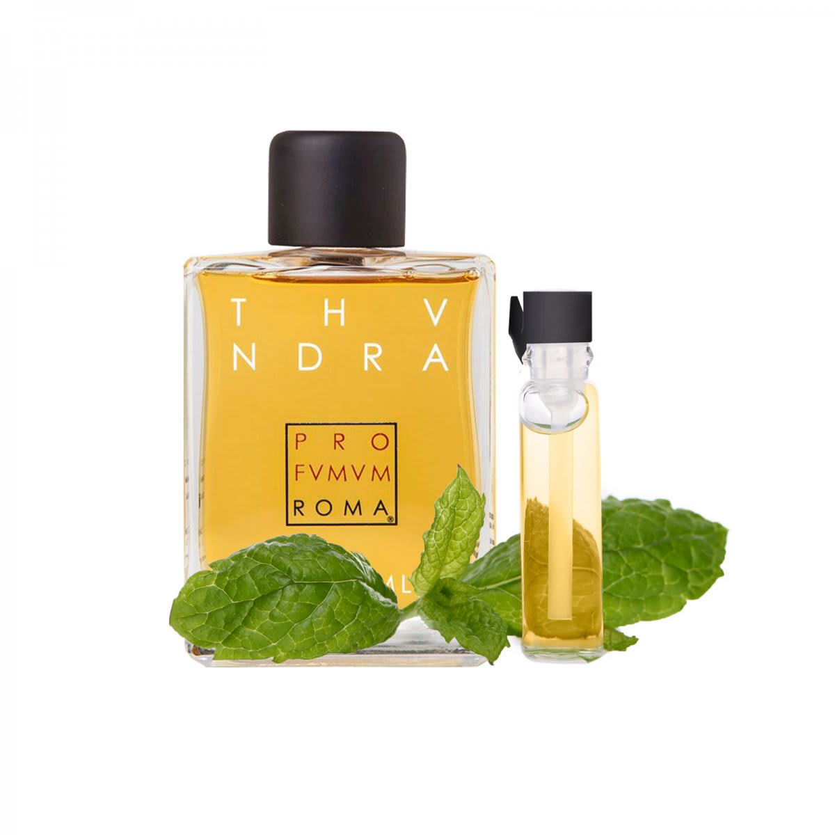 Profumum Roma Thundra Handmade Sample 1ml | Gents